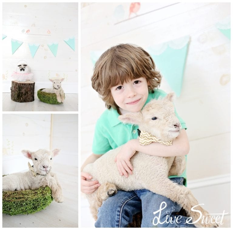 Little Lamb Easter Sessions - Live Sweet