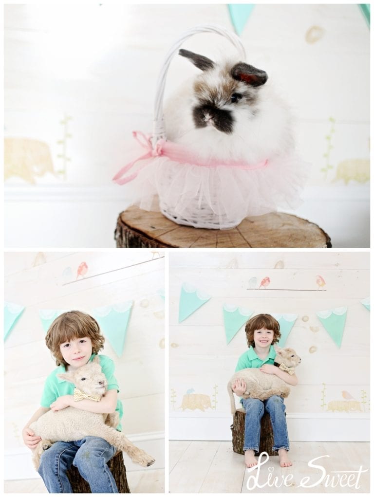 Little Lamb Easter Sessions - Live Sweet