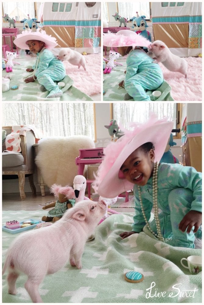 A tea party fit for a princess and a pig - Live Sweet