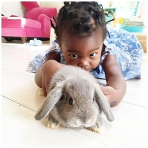 Introducing Lucy the Lop - Live Sweet