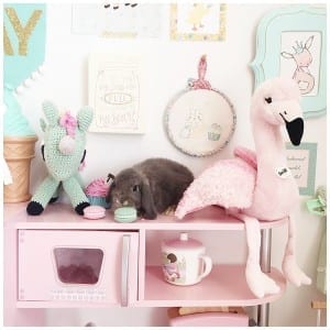 Introducing Lucy the Lop - Live Sweet