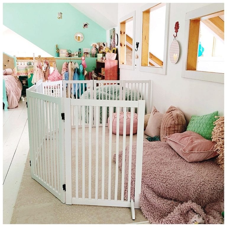 Baby Animal Play Area! - Live Sweet