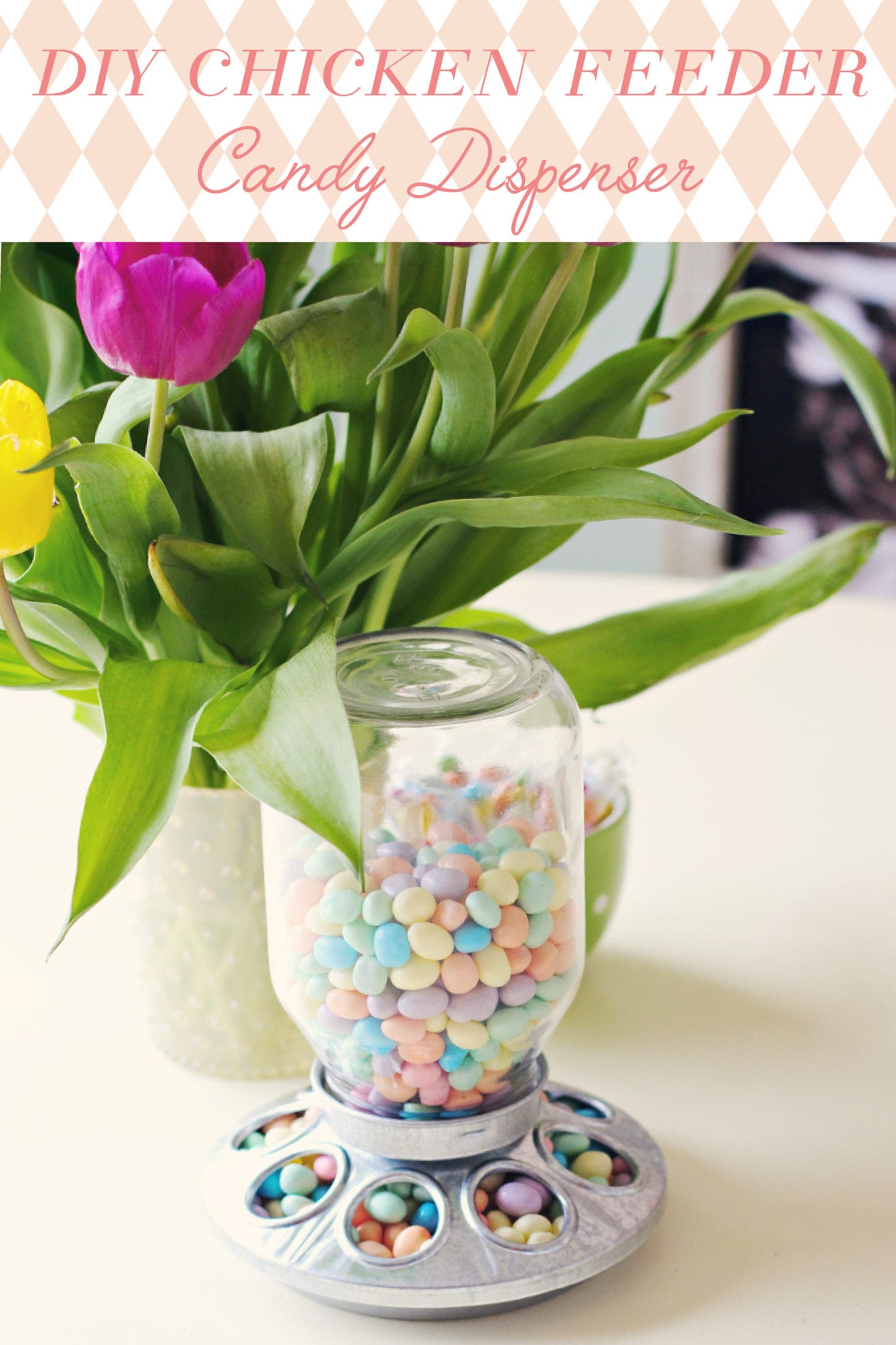 Chicken Feeder Candy Dispenser - Live Sweet