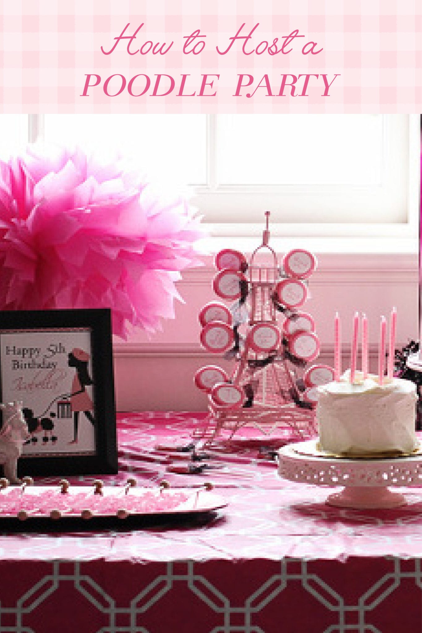 Poodle Party - Live Sweet