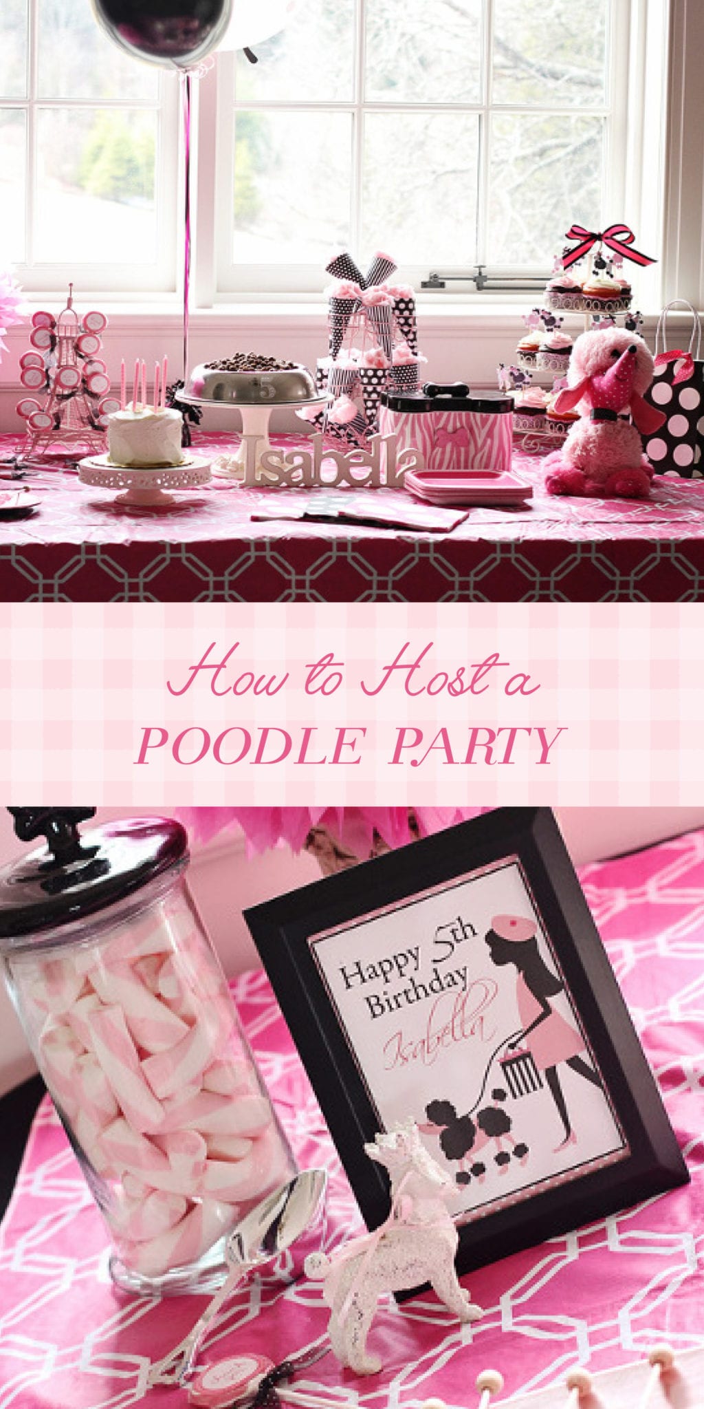 Poodle Party - Live Sweet