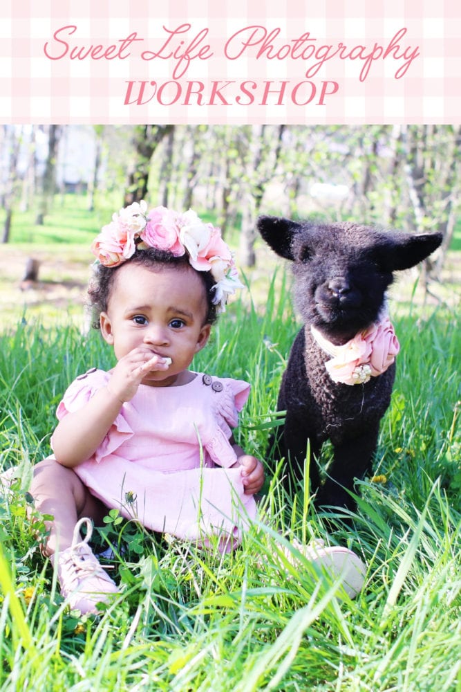 The Sweet Life Photography Workshop - Live Sweet