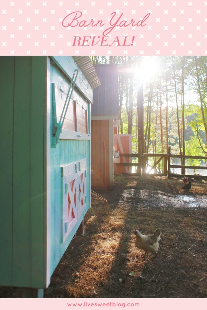 Live Sweet Barnyard Reveal!! - Live Sweet My relaxing place