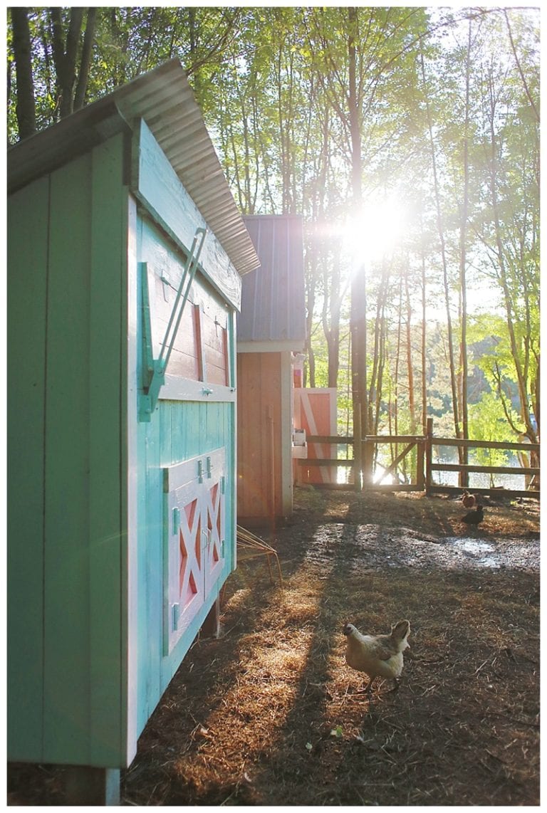 Live Sweet Barnyard Reveal!! - Live Sweet My relaxing place