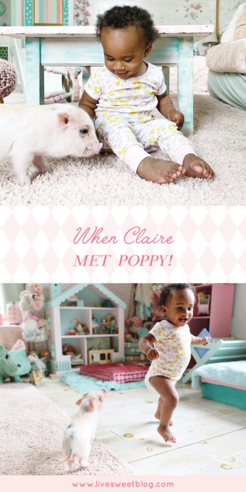 When Claire Met Poppy! - Live Sweet