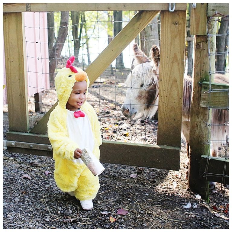 Our baby dressed up: her sweet halloween chicken costume! - Live Sweet