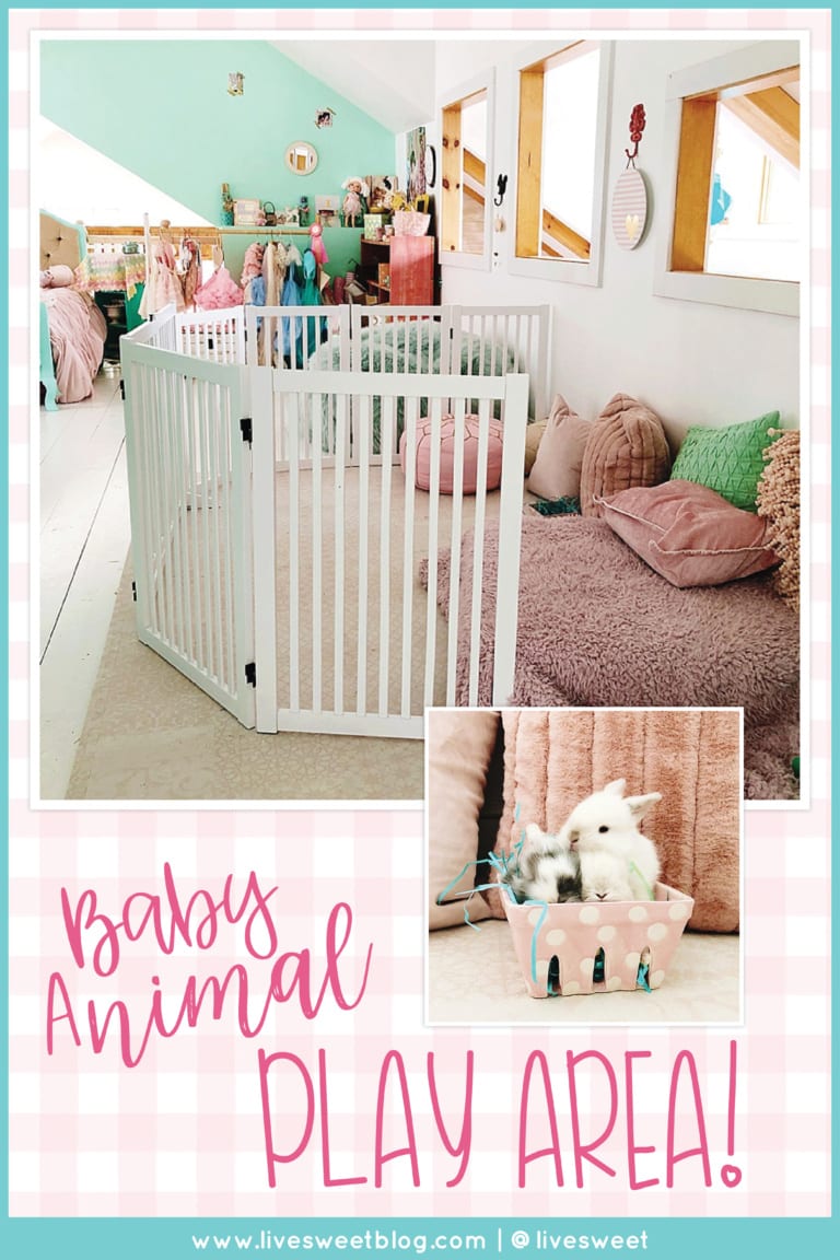 Baby Animal Play Area! - Live Sweet
