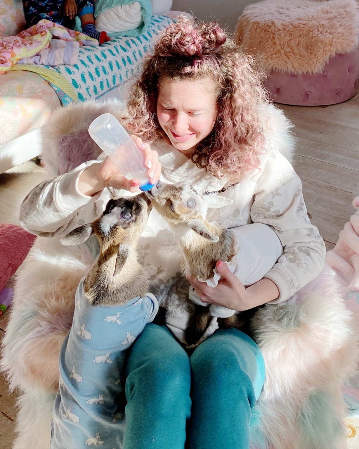 Baby Goats Feeding Schedule - Live Sweet