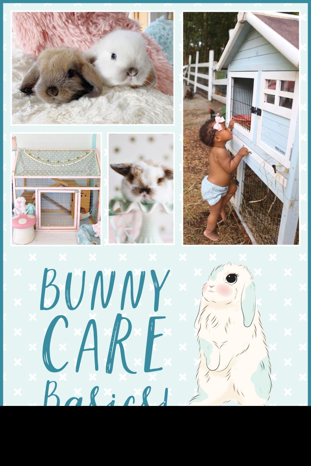 Bunny Care Basics - Live Sweet