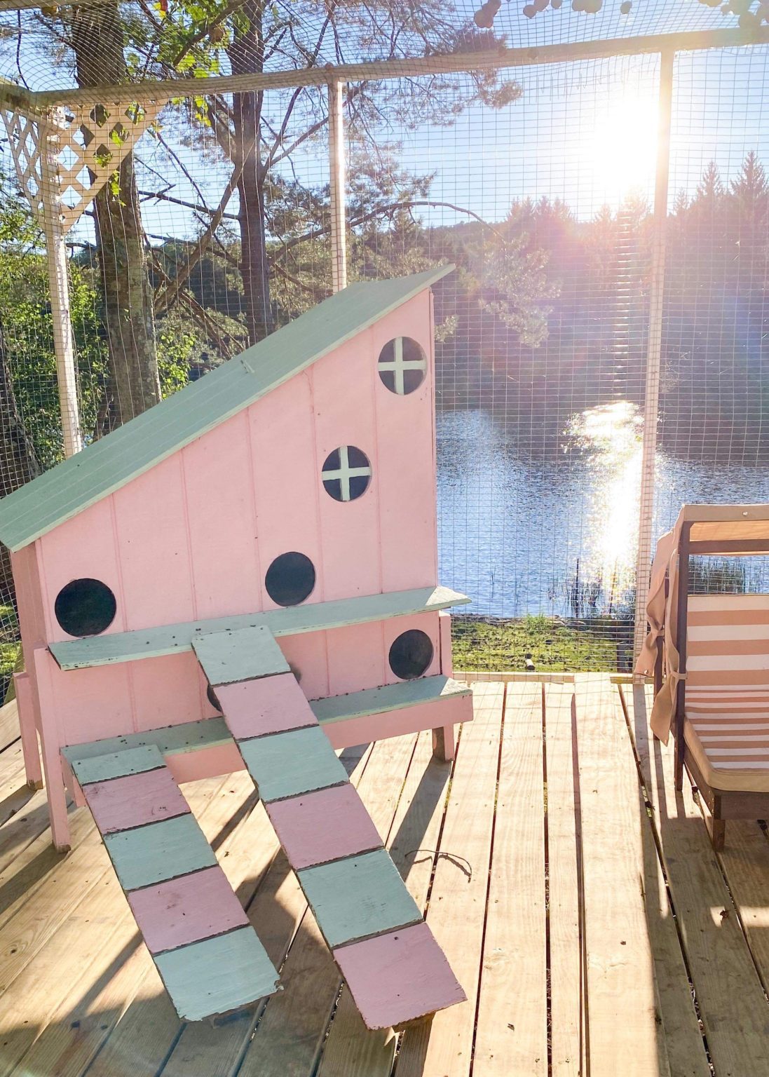 Outdoor Bunny Enclosure - Live Sweet