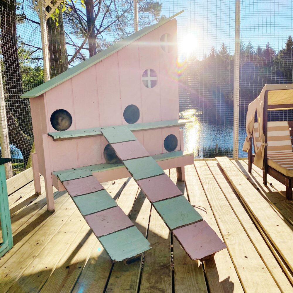 Outdoor Bunny Enclosure - Live Sweet