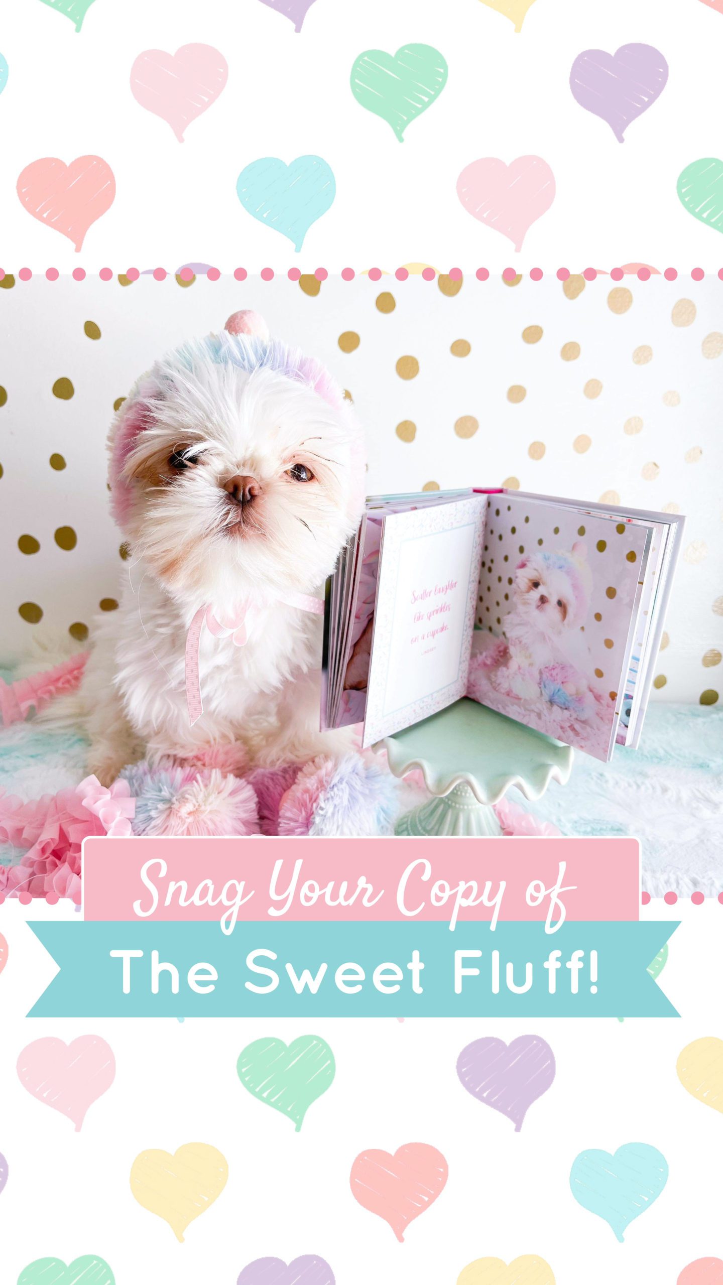 Introducing Lindsey's New Book - The Sweet Fluff - Live Sweet