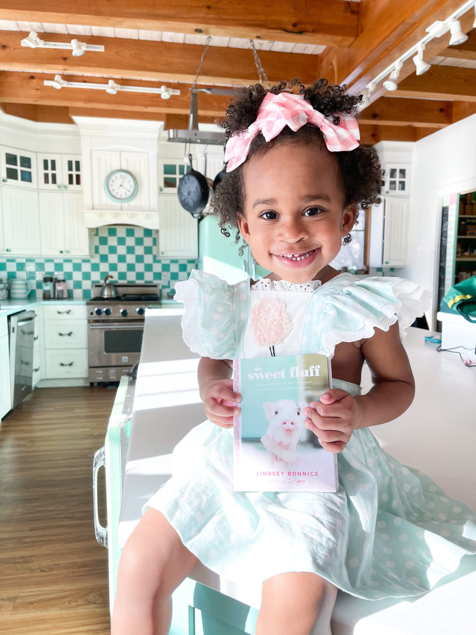 The Sweet Fluff Book Is Here!! - Live Sweet