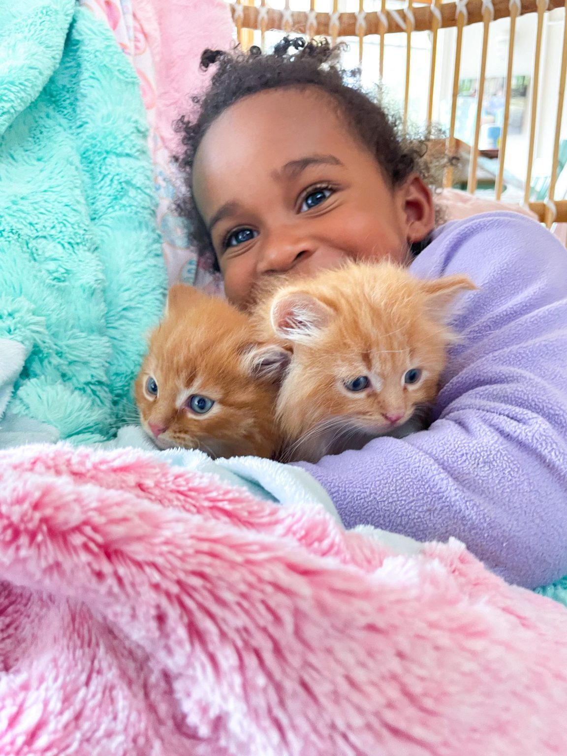 Kittens, Kittens, and More Kittens! - Live Sweet