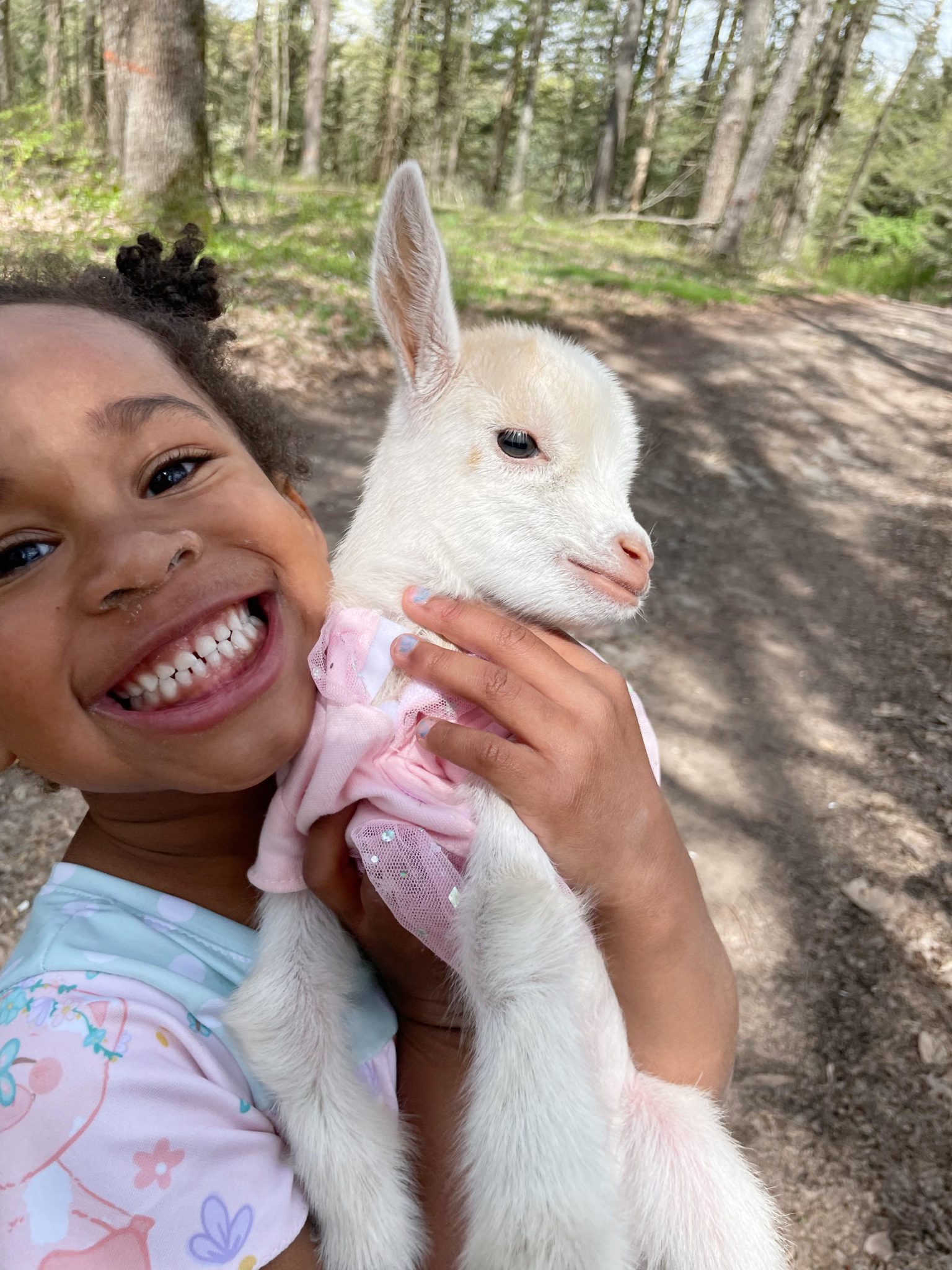 How to Raise Bottle Fed Baby Goats! - Live Sweet