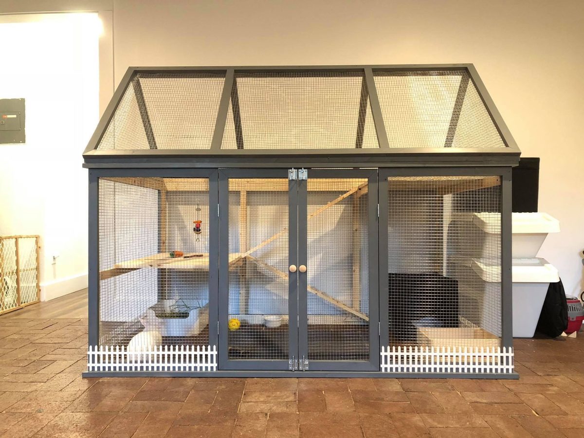 Everything you need for your Bunny and Enclosure Ideas! - Live Sweet