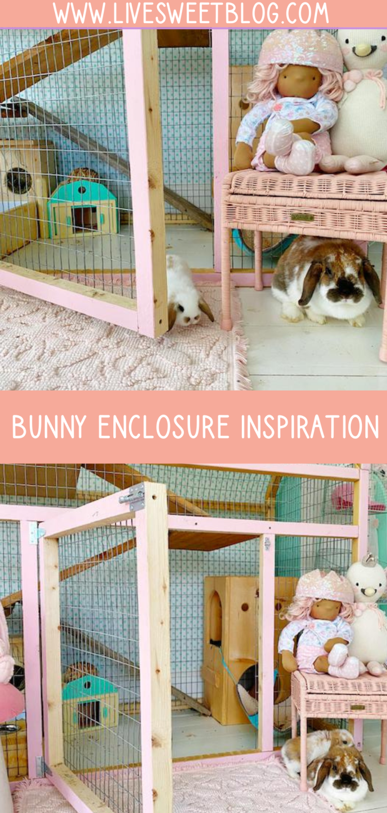 Everything you need for your Bunny and Enclosure Ideas! - Live Sweet